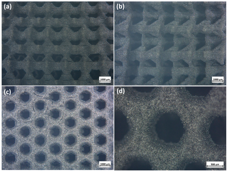 Success of the paper "3D Printing of Hierarchically Porous Lattice ...