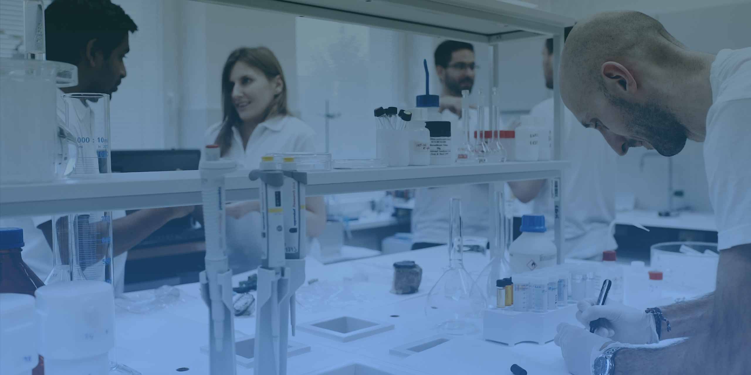 Doctoral study - FunGlass