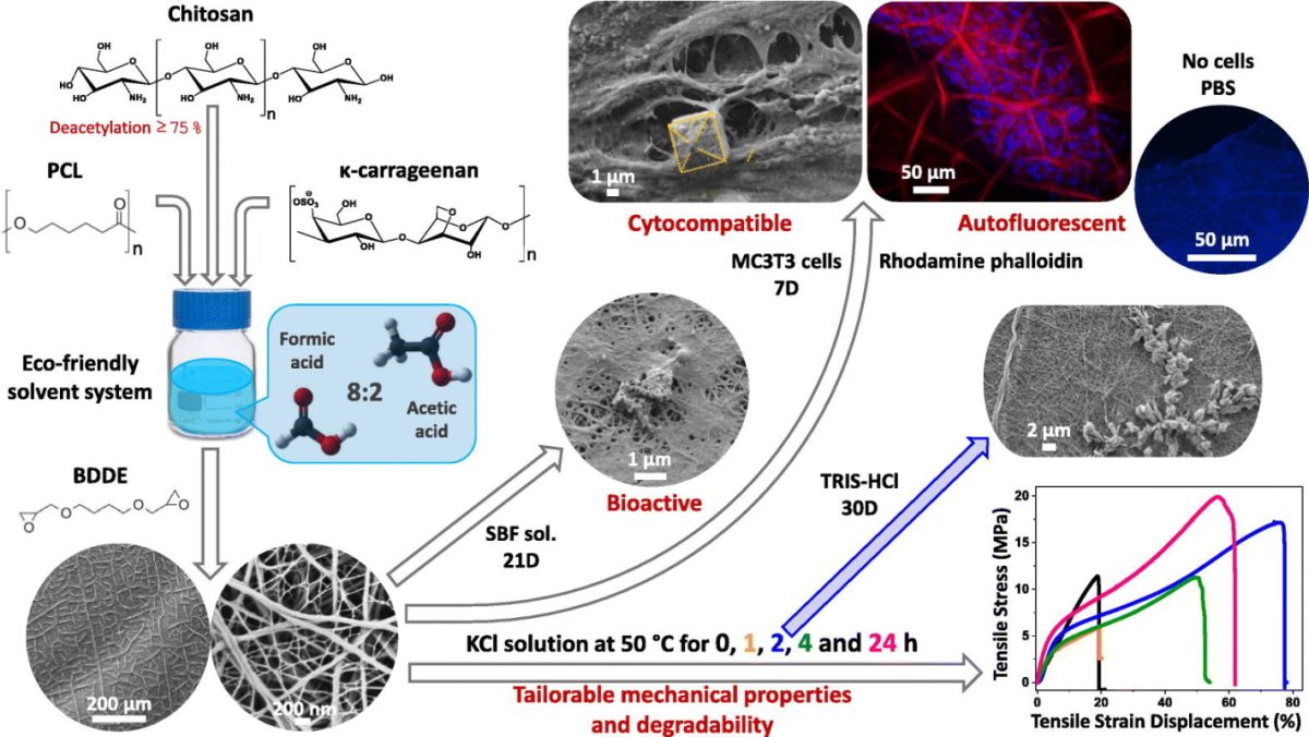 Advancements in Biomedical Applications: BDDE Crosslinking Agent and Reticulation with KCl ...